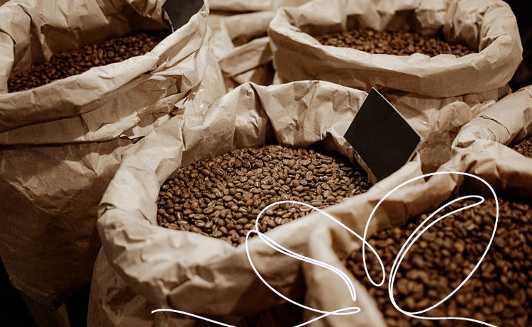 How Long Do Coffee Beans Last : 16 Tips | Melbourne Coffee Beans